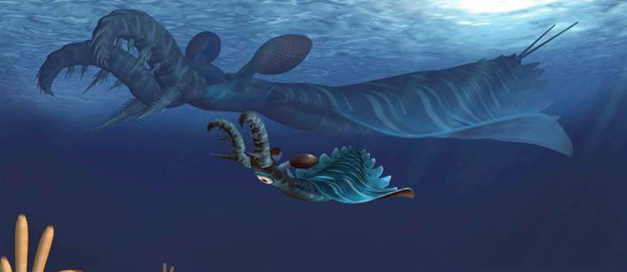 Tiny Babies of Prehistoric Giant Shrimp Were Ferocious Killers Too ...