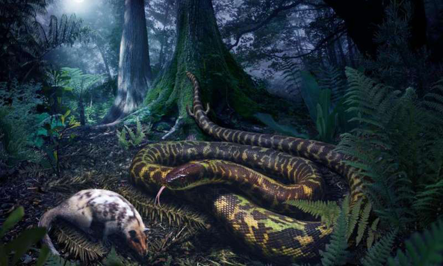 How the First Snakes Looked Like? | Paleontology World