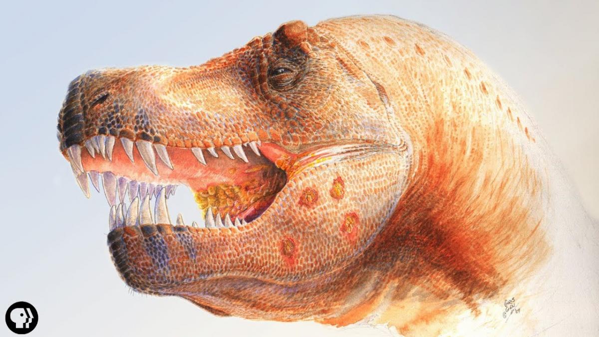 Even Dinosaurs Had Parasites | Paleontology World