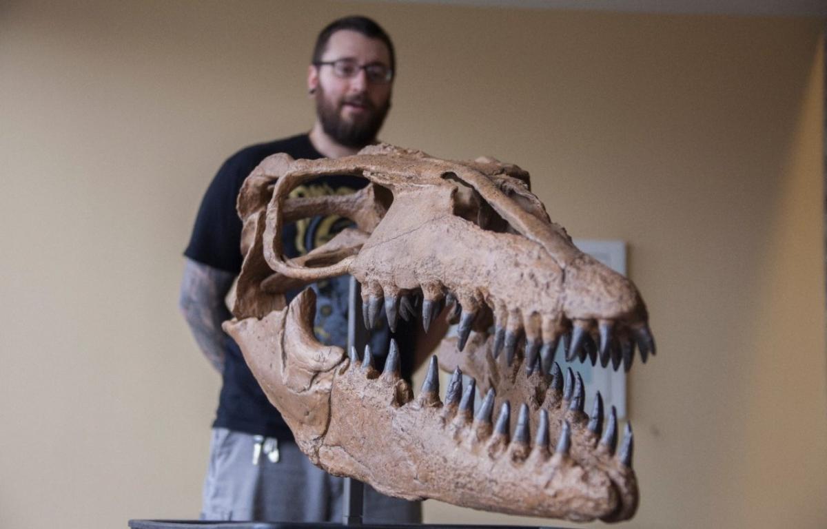 Paleontologist Believes Cretaceous Mosasaur Might Have Specialized in ...