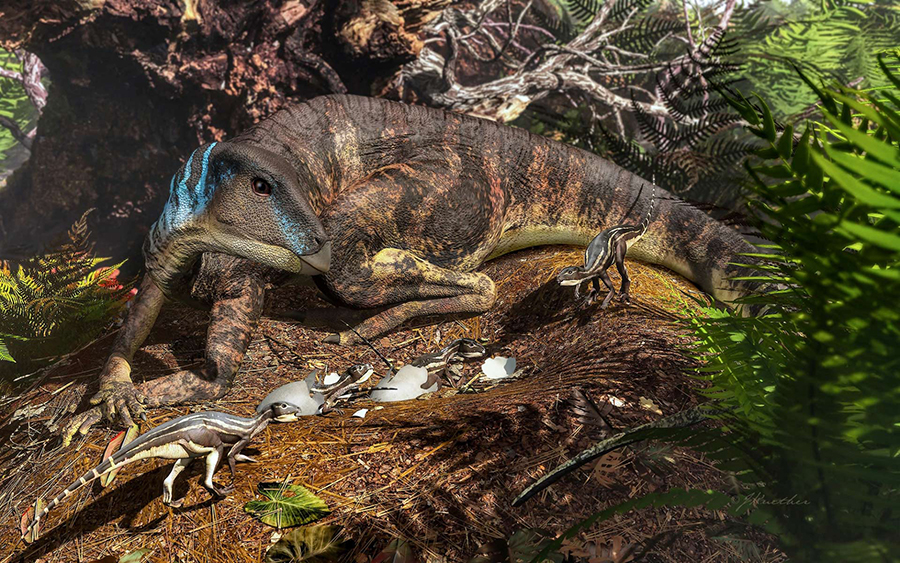 Paleontologists Uncover Weewarrasaurus pobeni: Fossilized Remains of ...