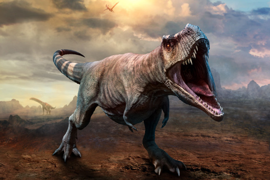 How T. rex Came to Rule the World | Paleontology World